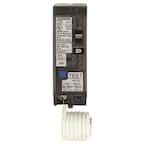 Eaton BR 15 Amp Single-Pole Combination Arc Fault Circuit Breaker ...