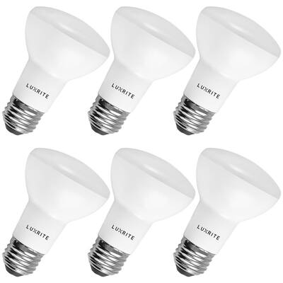 BR20 - LED Light Bulbs - Light Bulbs - The Home Depot