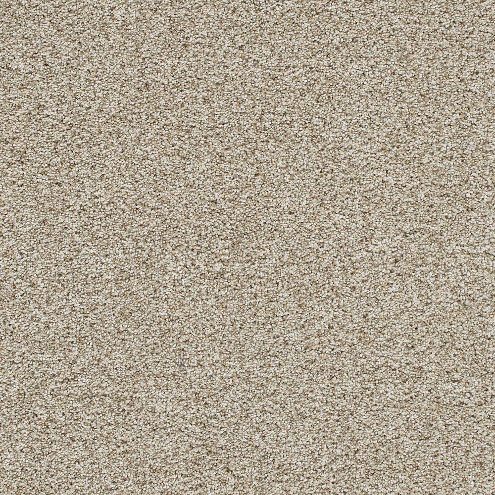 Home Decorators Collection Trestle II-Horizon Beige-60 oz. SD Polyester ...