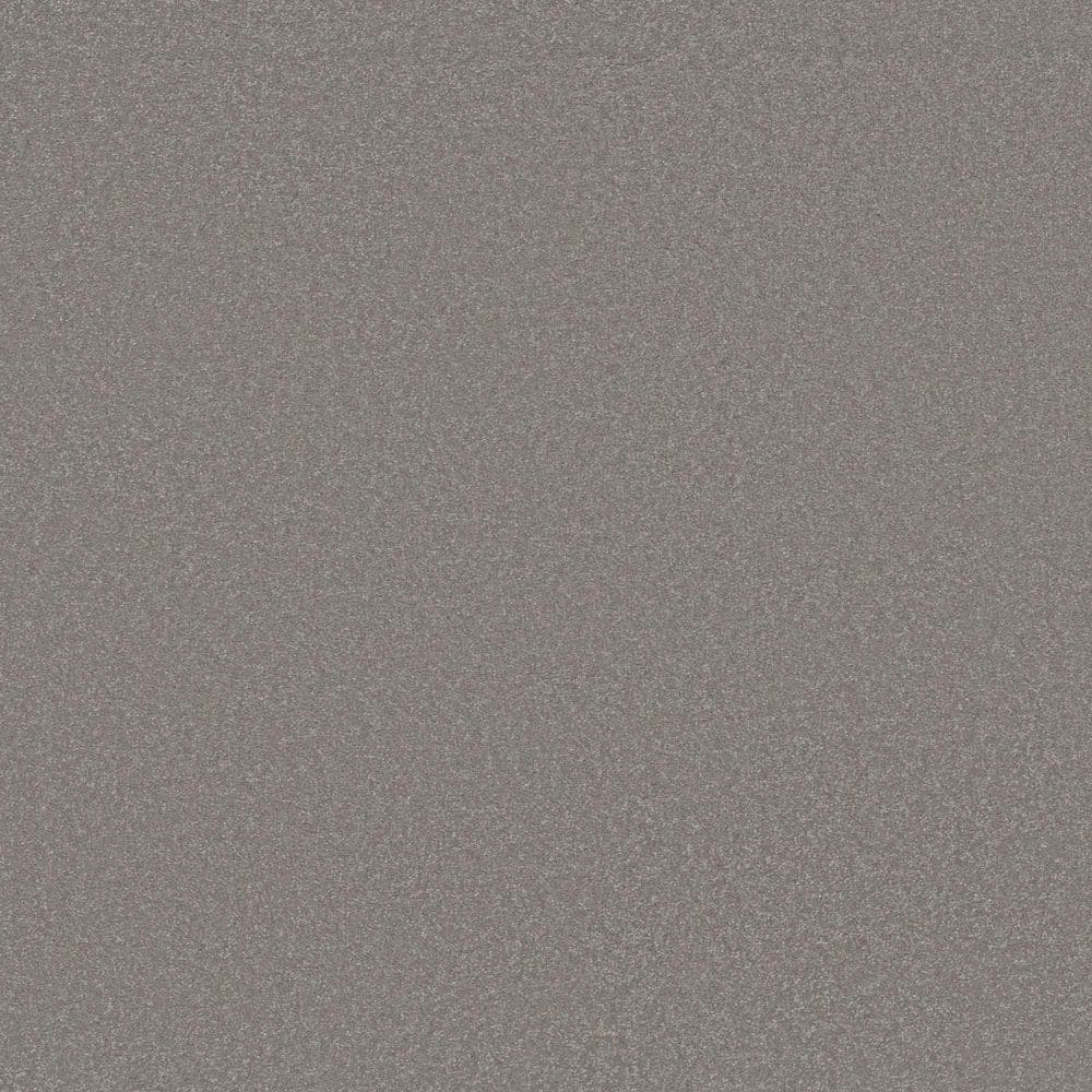 Lifeproof Park Royal II Pebble Path Beige 52 oz. Nylon Texture Carpet ...