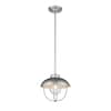 Ansel 1-Light Specialty Finishes Galvanized Outdoor Pendant with Galvanized and Glass Shade 590P ...