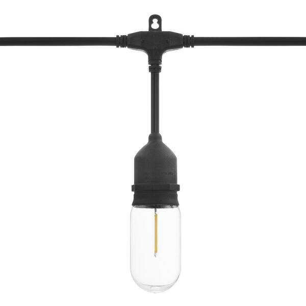 Hampton Bay 12-Light 24 ft. Indoor/Outdoor Plug-In Edison Bulb String ...