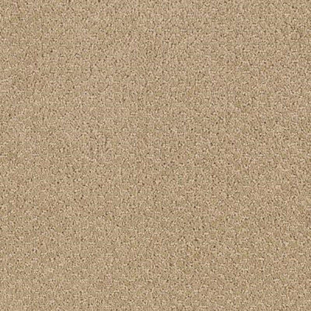 Lifeproof 8 in. x 8 in. Pattern Carpet Sample - Katama II -Color Carved ...