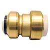 Tectite 1 in. IPS x 1 in. CTS Brass Push-to-Connect Conversion Coupling ...