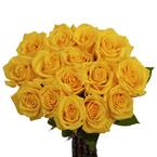 Globalrose Fresh Assorted Color Roses (200 Stems)-roses-assorted-200 ...