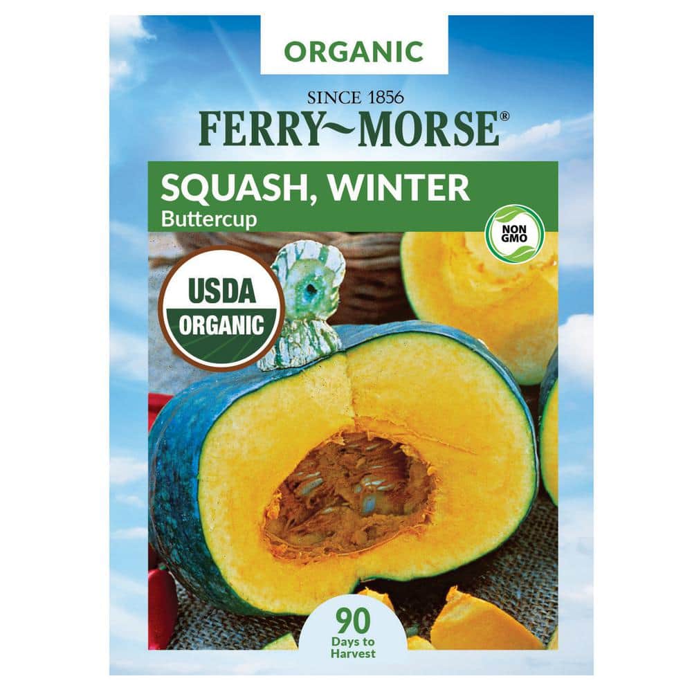 Ferry-Morse Organic Squash Buttercup Fruit Seed 0930 - The Home Depot
