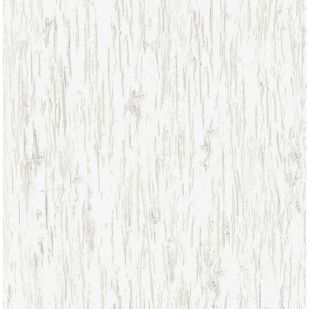 Seabrook Designs 56 sq. ft. Metallic White Dove Alaska Birch Faux ...