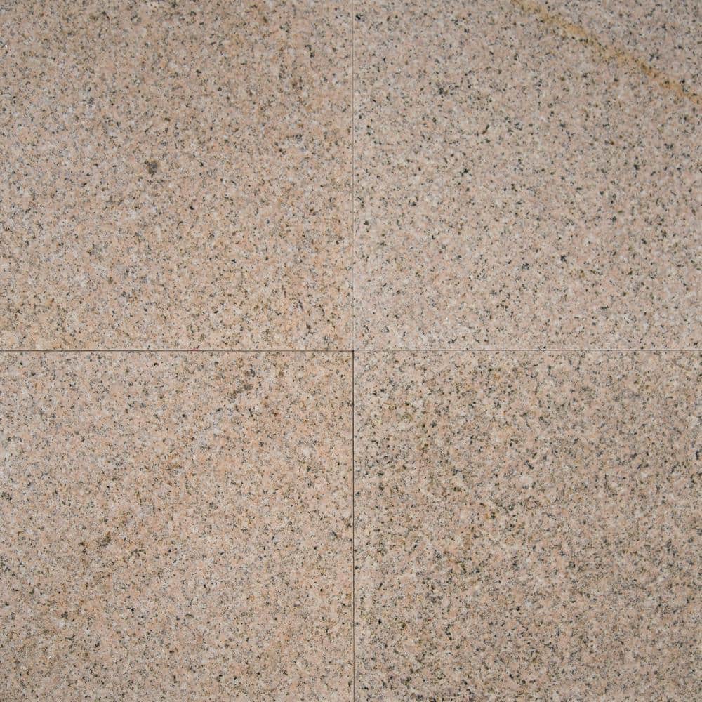 MSI Gold Rush 12 in. x 12 in. Polished Granite Floor and Wall Tile (5 ...