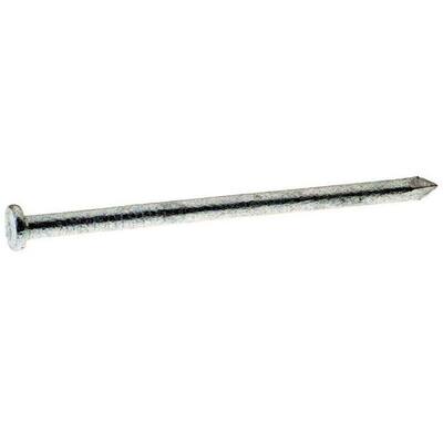 Common Nails - Nails - The Home Depot
