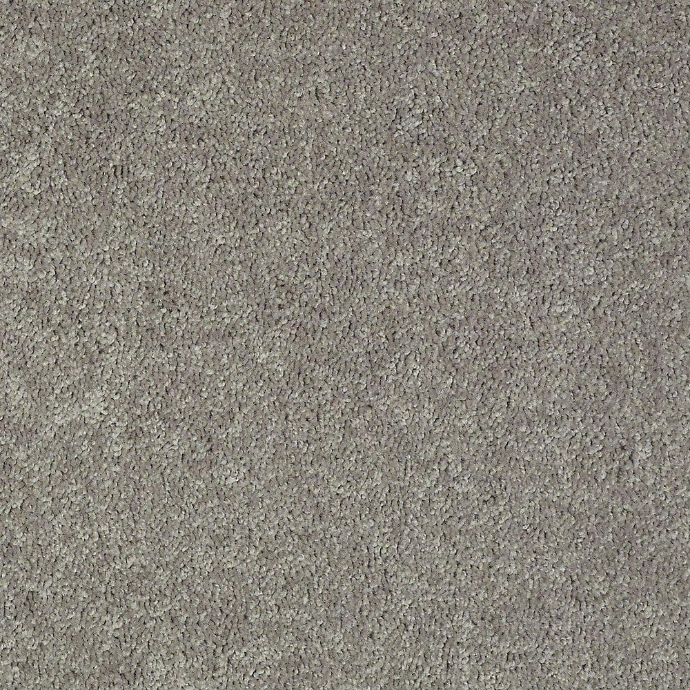 TrafficMaster 8 in. x 8 in. Texture Carpet Sample - Palmdale I - Color ...
