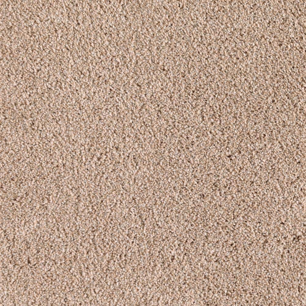 TrafficMaster Horsepower II - Color Apple Fritter Twist 12 ft. Carpet ...