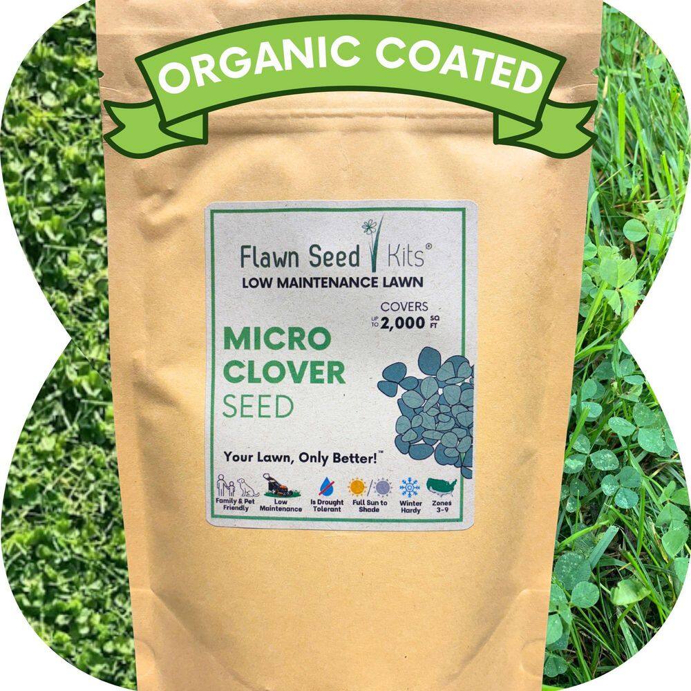 Flawn Seed Kits Micro Clover Alternative Grass Seed, Org Coated, Eco ...