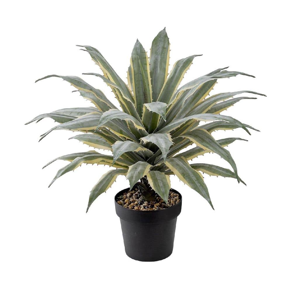 32 in. Green Indoor Tall Artificial Agave Succulent Plant with Two-Tone ...