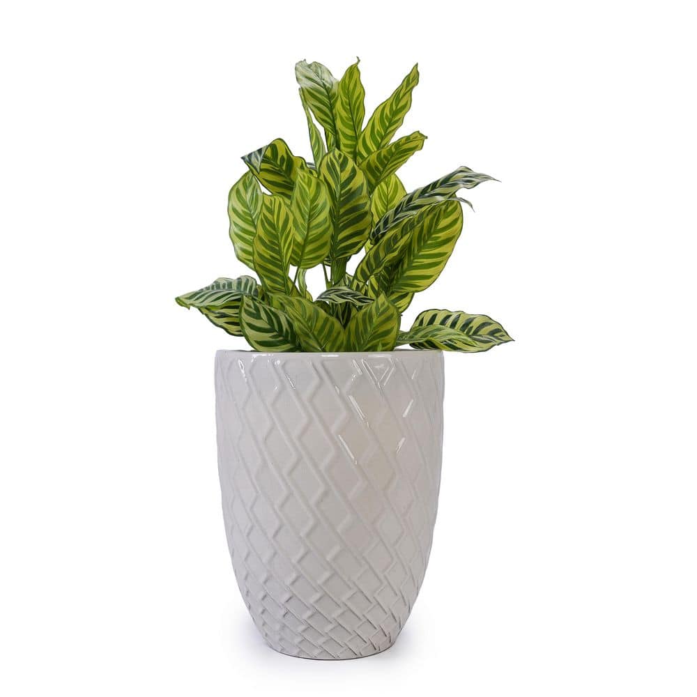 16.5 in. Dia x 21 in. H Milk White Ceramic Round Planter, for Patio ...