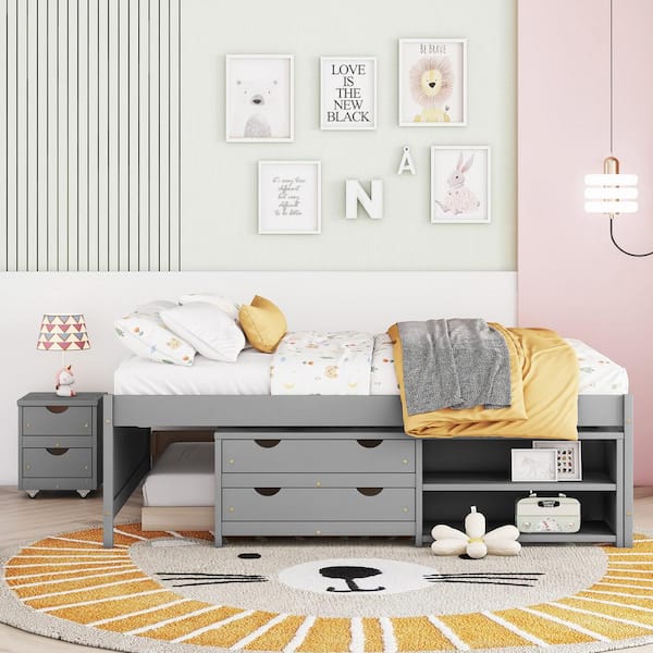 Box bed with storage store