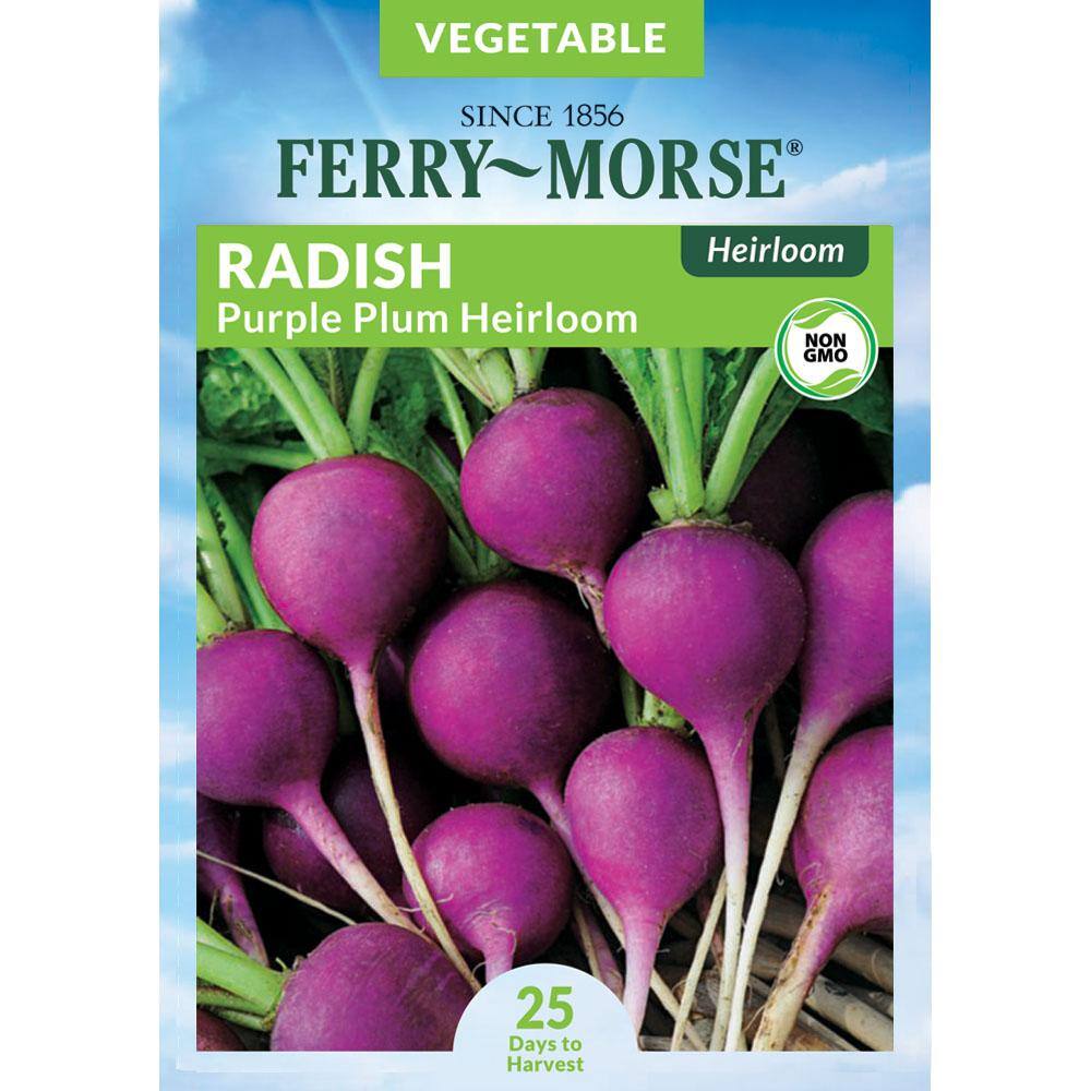 Ferry-Morse Radish Purple Plum Heirloom Vegetable Seed 2941 - The Home ...