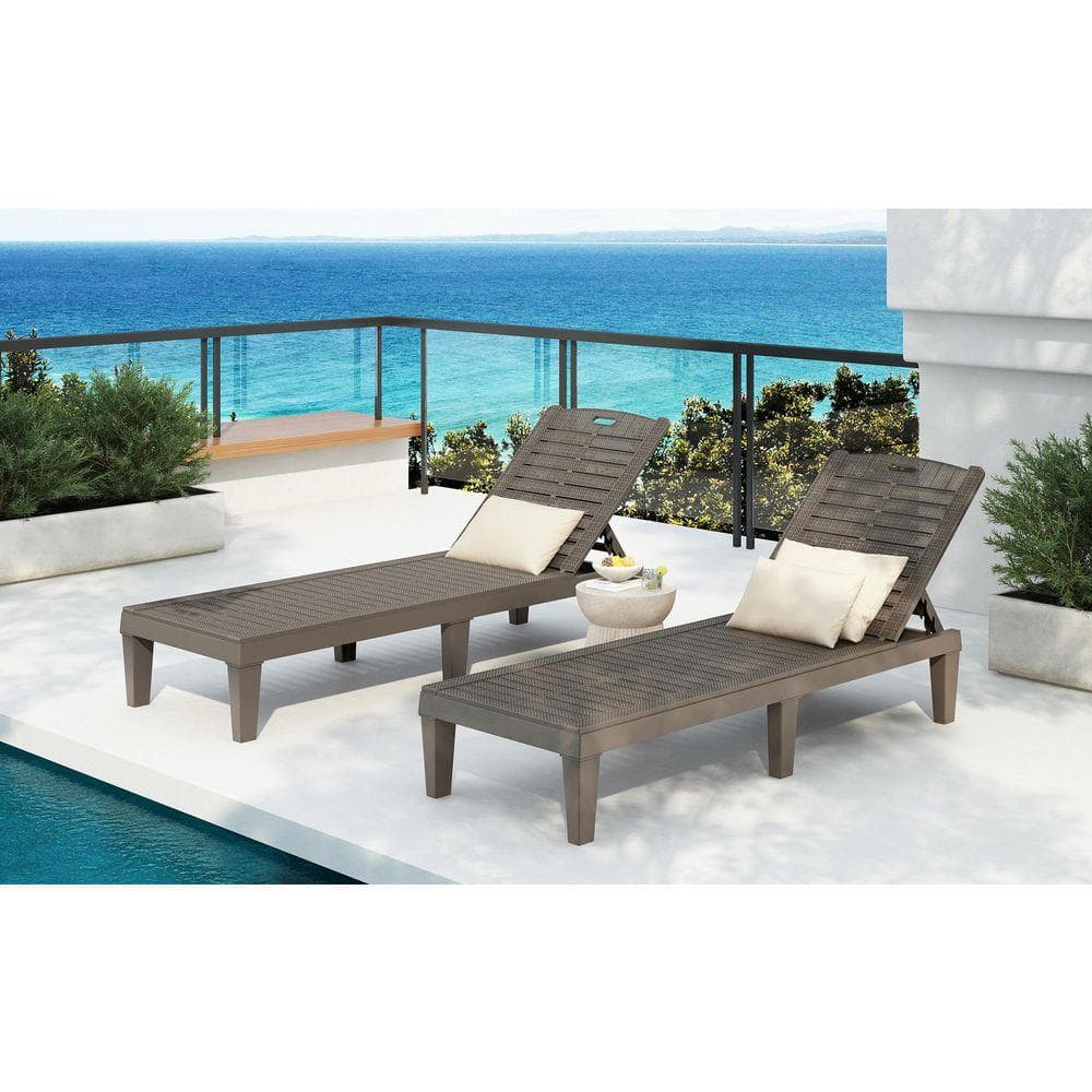 Cesicia Brown 2-Piece Plastic Outdoor Chaise Lounge ChaiseLoungeK2 ...