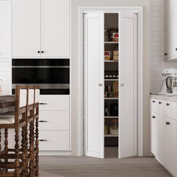 ARK DESIGN 30 in. x 80 in. 1-Lite Solid Core Panel White Primed ...