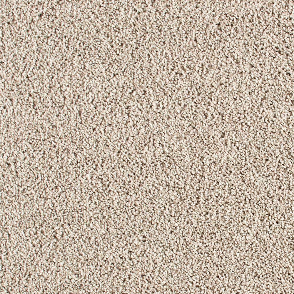Lifeproof with Petproof Technology 8 in. x 8 in. Texture Carpet Sample ...