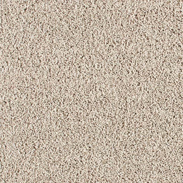 Lifeproof with Petproof Technology 8 in. x 8 in. Texture Carpet Sample ...