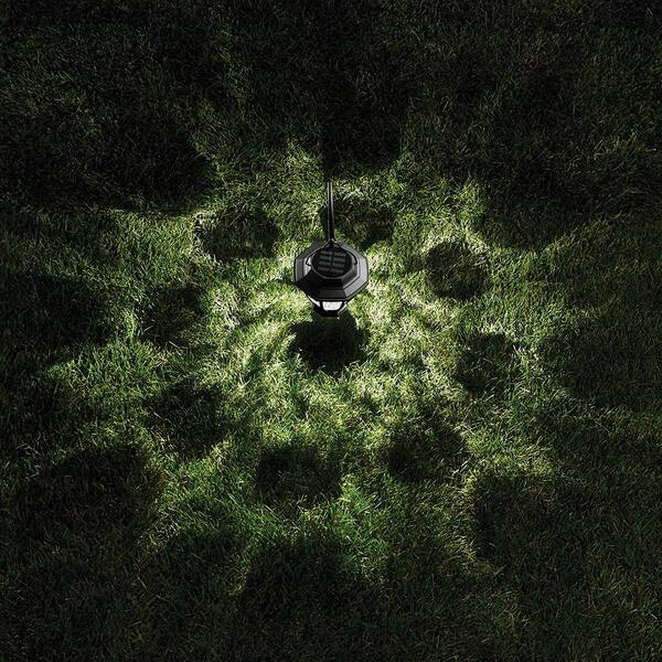 Buy Solar Matte Black Outdoor Integrated LED Shepard Hook Landscape ...