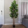 Pure Garden 70- Inch Green Artificial Rubber Tree with Natural Feel ...