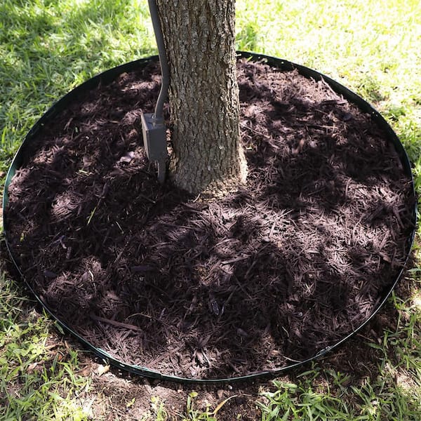 Metal Circle Around Tree Vigoro 3 3/4 Ft. Brown Steel Tree Ring Edging