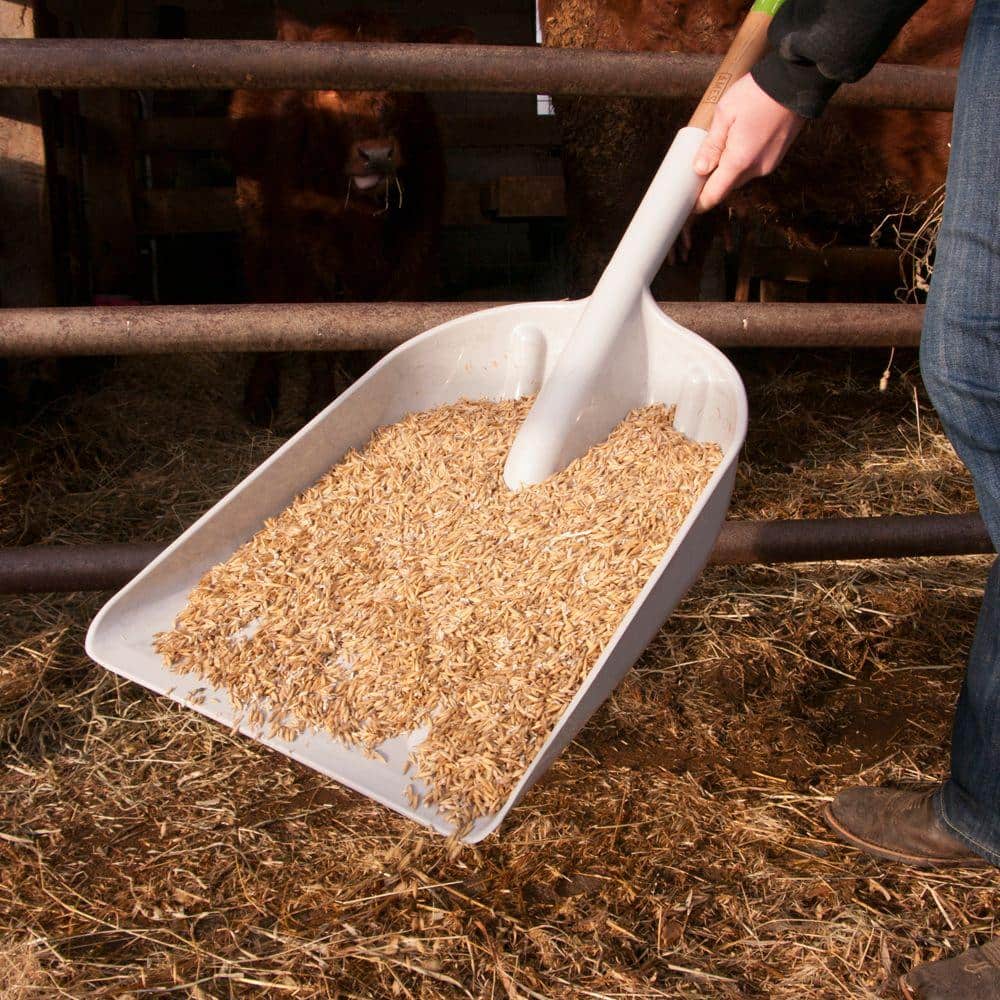 Buy 27.5 in. D-Handle Poly Grain Scoop Shovel Online at Lowest Price in ...