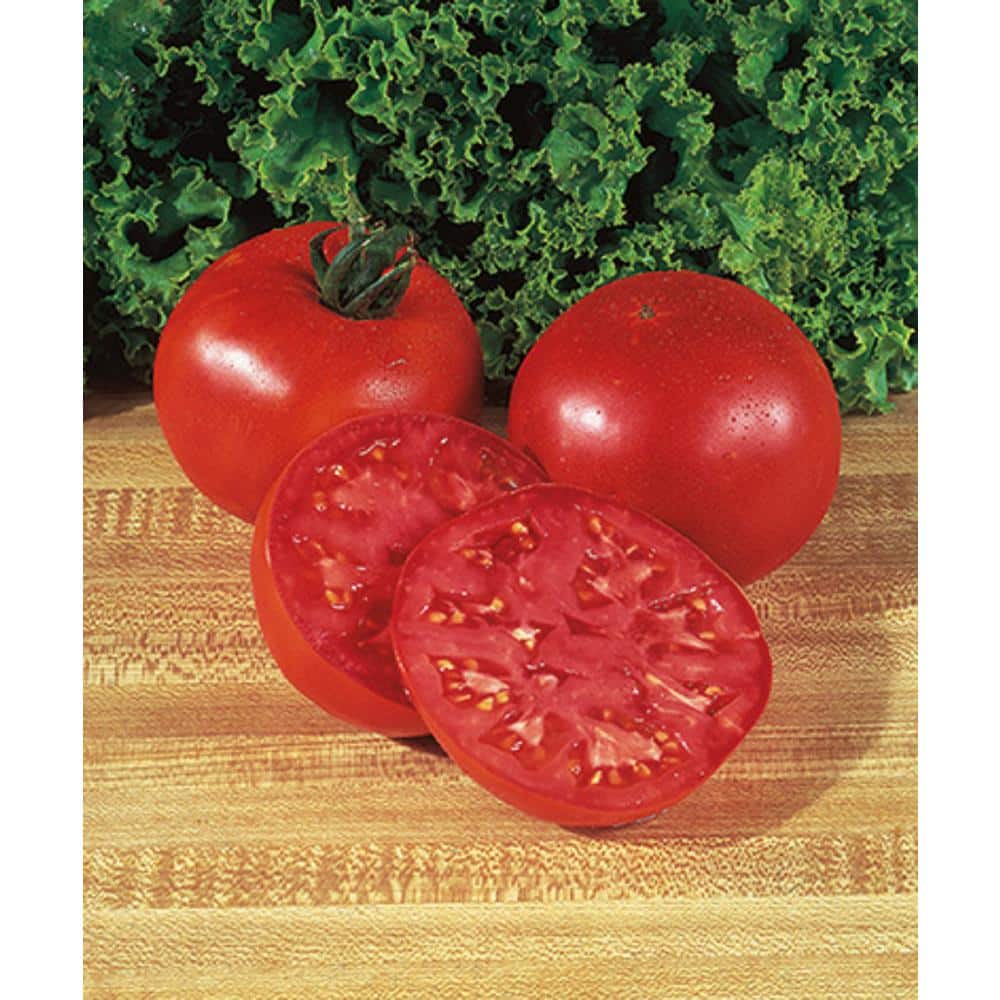 Have a question about Burpee 4 In. Burpee's Big Boy Tomato Fruit Plant ...