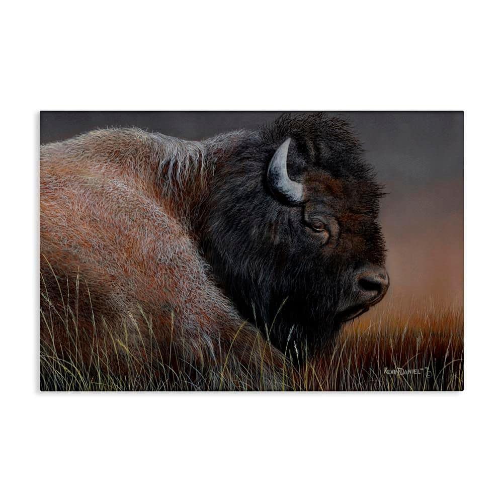 Stupell Industries Detailed Bison Close Up by Kevin Daniel Unframed Animal Graphic Art Print 16 ...