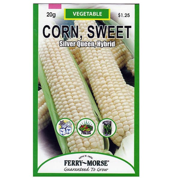 Ferry-Morse Sweet Corn Silver Queen Hybrid Seed 8113 - The Home Depot