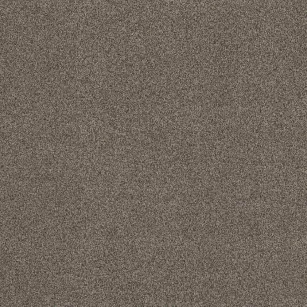 Lifeproof 8 in. x 8 in. Texture Carpet Sample - Urban Artifact II ...