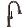 Delta Renaldi Single Handle Pull Down Sprayer Kitchen Faucet in ...