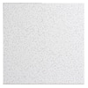 USG Ceilings 2 ft. x 2 ft. Radar White Square Edge Lay-In Ceiling Tile ...