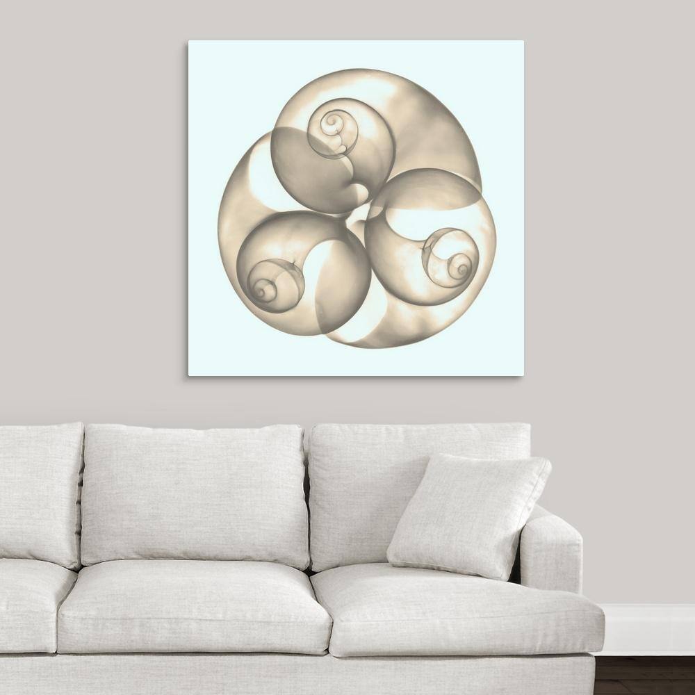 GreatBigCanvas "Shell" by Albert Koetsier Canvas Wall Art 2186646_24 ...