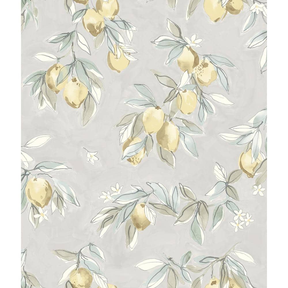 Chesapeake Lemonade Grey Pre-Pasted Non-Woven Wallpaper 4134-72507 ...