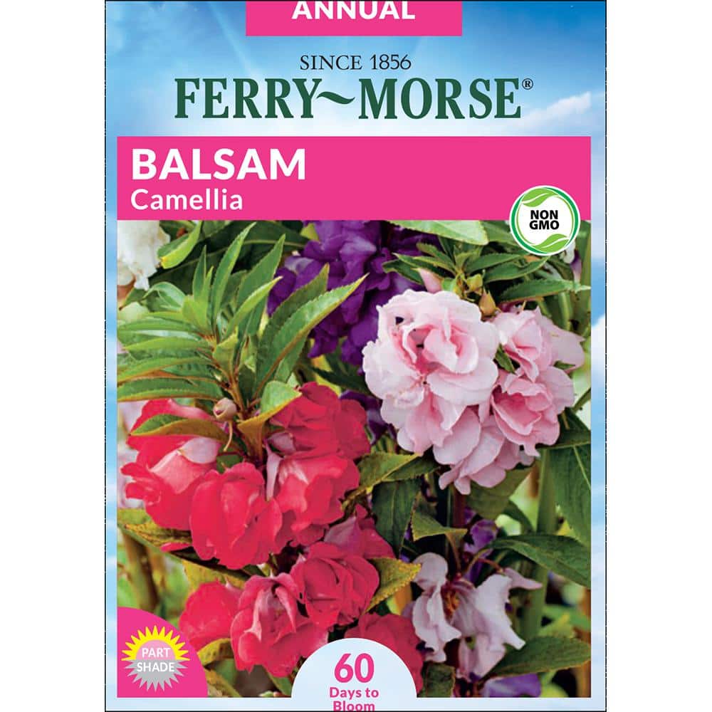 Ferry-Morse Flower Balsam Camellia Seed 5211 - The Home Depot