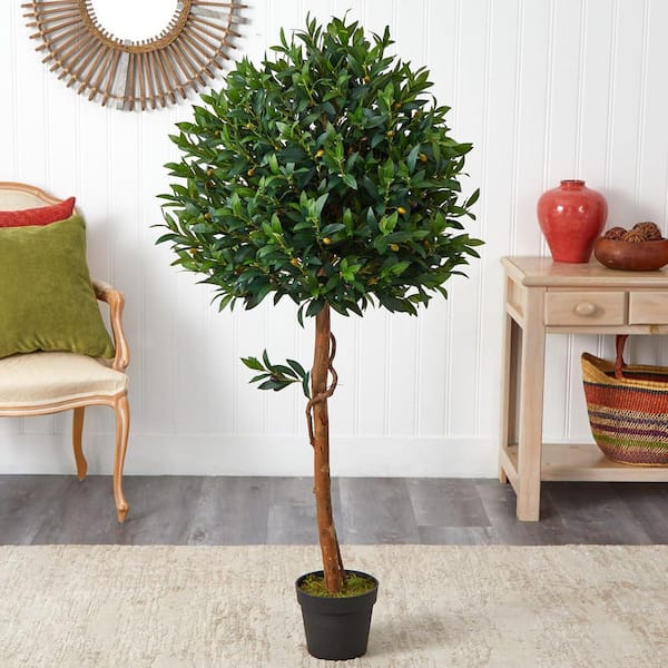 4.8 ft. Artificial Boxwood Tree in Black Pot for Indoor/Outdoor 1 in ...