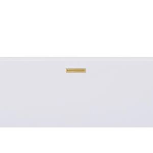 HYDRO SYSTEMS Linear Integral Waste and Overflow in Brushed Brass LWO ...