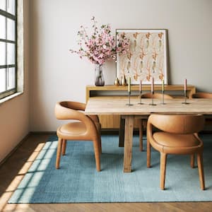 RUGS USA Padma Lakshmi X Rugs Ombre Hand Loomed Gradient Wool Blue 8 ft ...