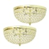 Elegant Designs 13 in. 2 Light Elipse Crystal Flush Mount Ceiling Light 2 Pack, Gold FM1000-GLD ...