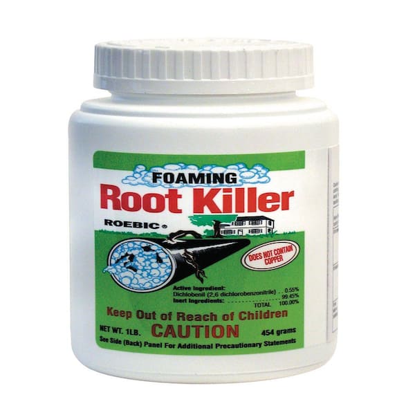 Home Depot Root Killer