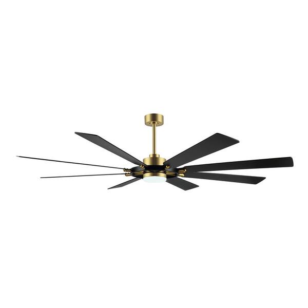 WINGBO 80 in. 8 Blades LED Indoor Gold and Black Ceiling Fan with ...