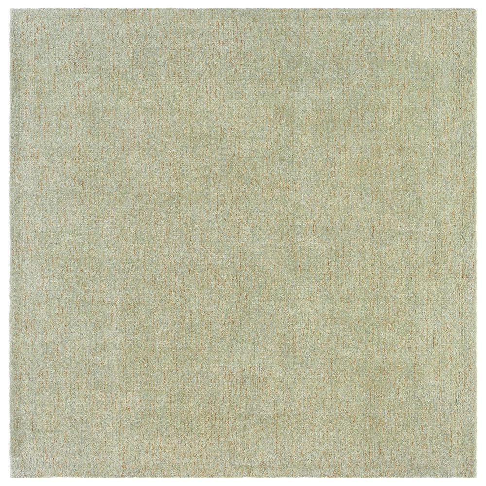 SAFAVIEH Abstract 6 ft. x 6 ft. Green Solid Color Square Area Rug ...