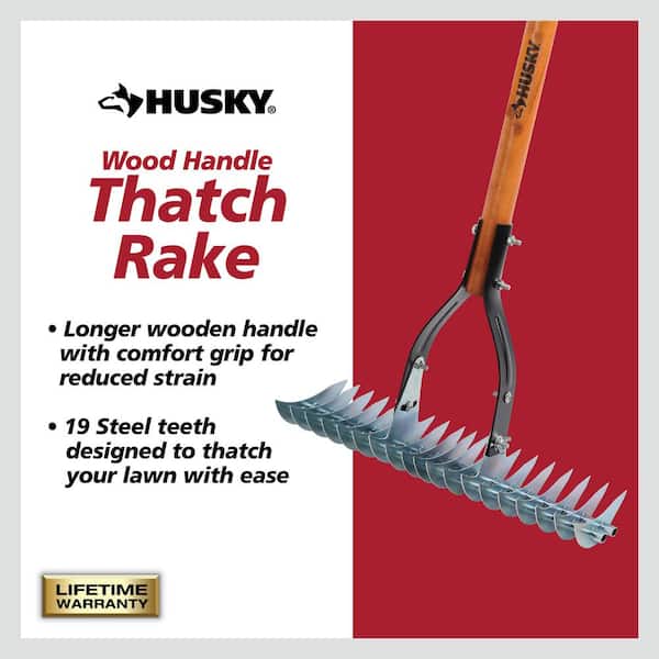 Thatching rake home depot store