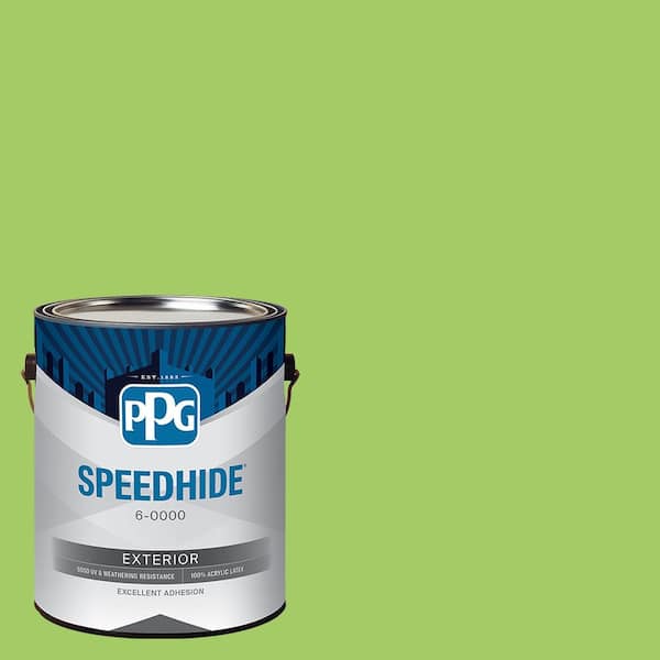 SPEEDHIDE 1 gal. PPG1221-6 Be Spontaneous Satin Exterior Paint PPG1221 ...