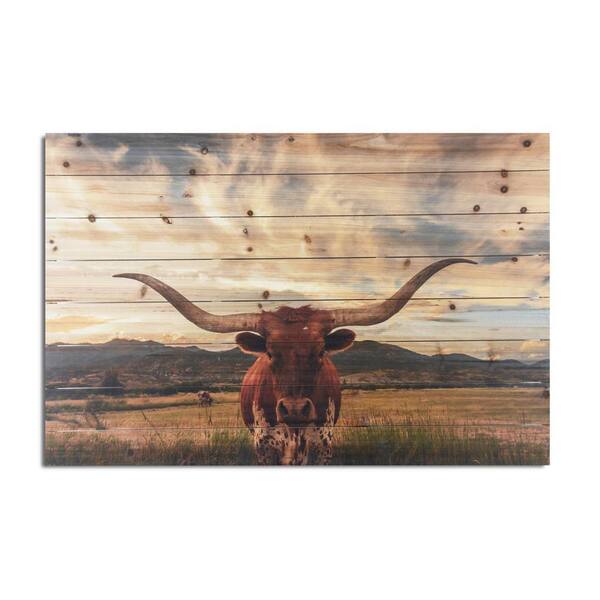 Longhorn Planked Wood Animal Art Print 24 in. x 36 in. kc3261a - The ...