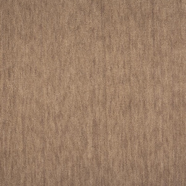 Natural Harmony 6 in. x 6 in. Texture Carpet Sample - Supreme - Color ...