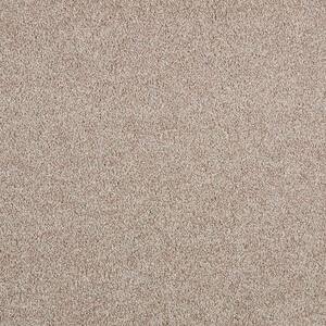 Brown - Carpet - The Home Depot