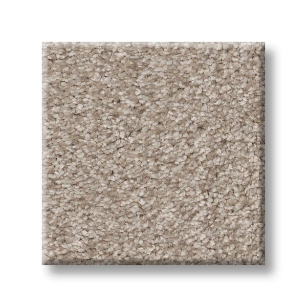 Lifeproof 8 in. x 8 in. Texture Carpet Sample Rosemary I Color Aster SH 141625 The Home Depot